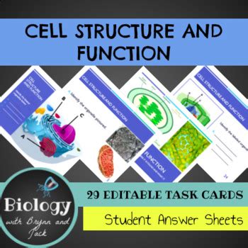 Cell Structure And Function Task Cards By Biology With Brynn And Jack