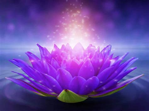 Harmonious Heart Spiritual Counseling Based In Buddhist And Shamanic