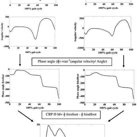 CRP Curves At The Three Intersegments In Sagittal Plane Black Line Download Scientific Diagram