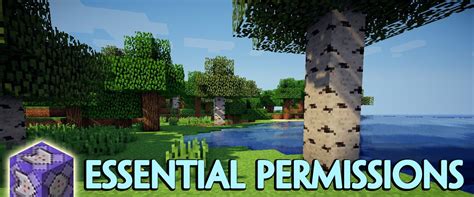 Essential Permissions For Minecraft 1 21 4