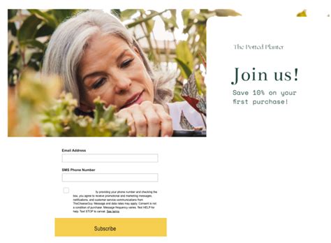 How Does Landing Page With Drip Campaign Work Mailchimp