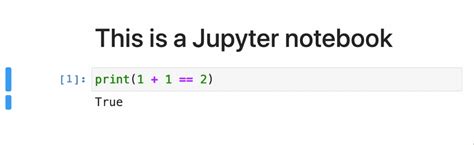 Using Jupyter Notebooks