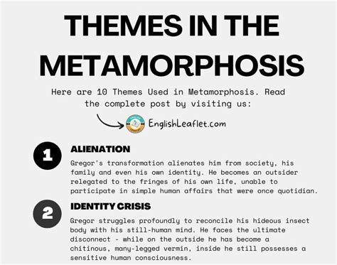 Themes In The Metamorphosis Englishleaflet