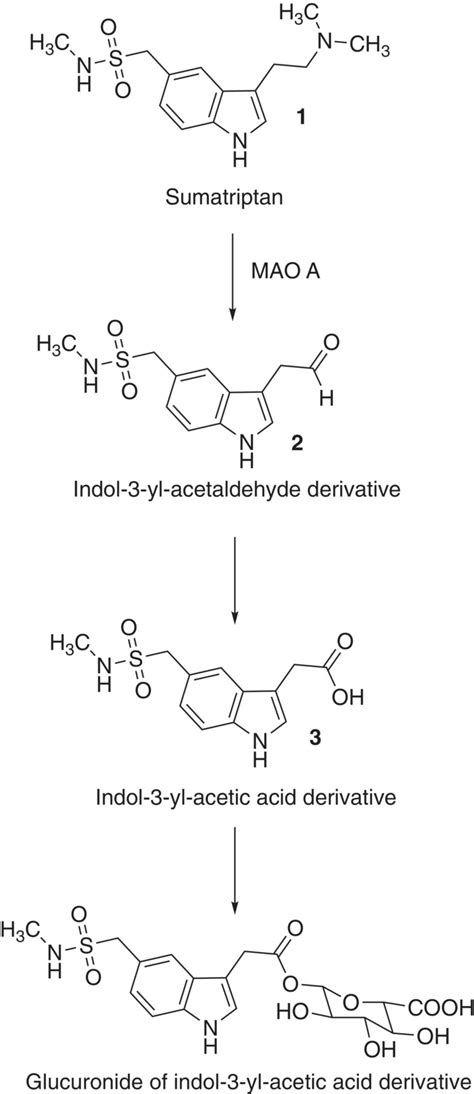 Metabolism Of Sumatriptan Published In Literature Download Scientific Diagram