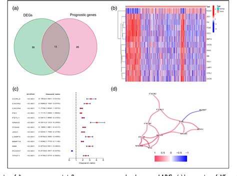 Figure 1 From Construction Of A Prognostic Classifier And Prediction Of