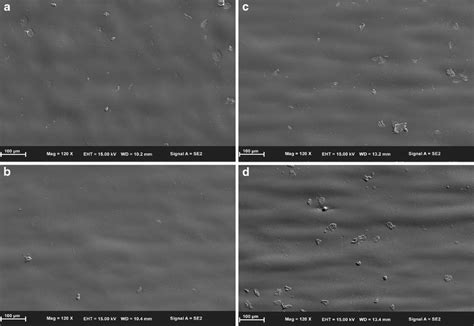 Gold Coated Sem Micrographs 120 Times Magnified For Surface Features