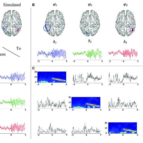 A Simulation Of An Epileptic Network In The Top Locations Of The Download Scientific