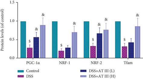 At Iii Attenuates Dss Induced Mitochondrial Dysfunction Via