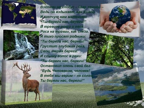 Человек и окружающая среда презентация онлайн