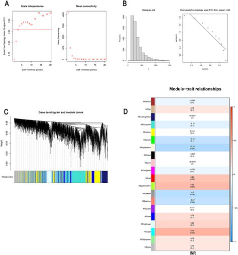 Hiv Infected Immunological Non Responders Jir