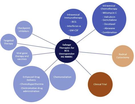 The Natural History Of High Risk Nmibc Novel Therapies Versus Cystectomy