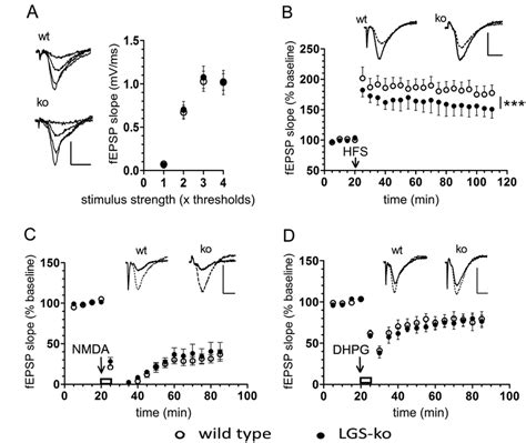 Hippocampal Ltp Is Selectively Constrained In Congenital Download