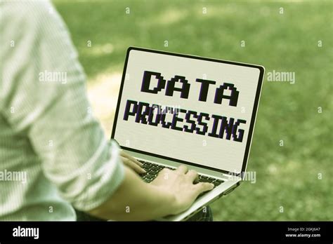 Text Caption Presenting Data Processing Business Idea Collection And