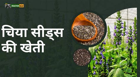 चय सडस क खत करक आप भ कम सकत ह लख रपए