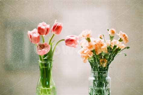 꽃 화병 화기 화분 꽃병 사진이미지일러스트캘리그라피 Filmkim작가