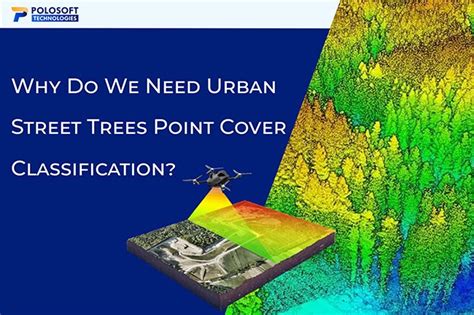 Next Level Forest Insights Through Tree Classification And Feature