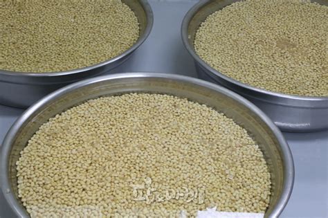 콩 재배부터 청국장까지 김상윤 대표