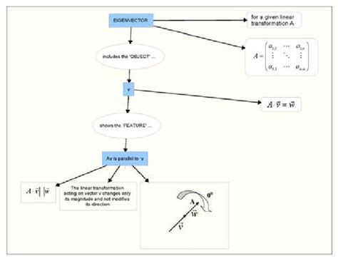Concept Of Eigenvector Download Scientific Diagram