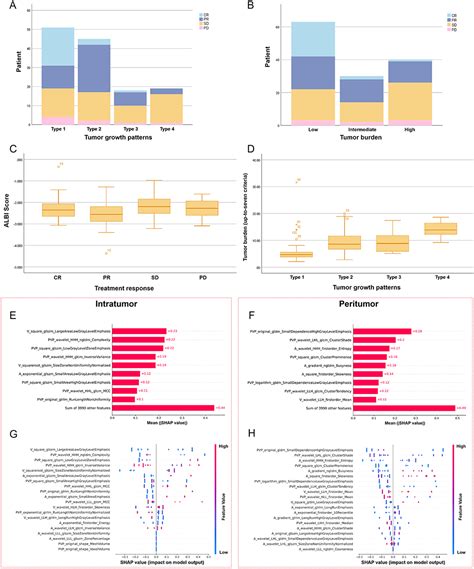 Tumor Growth Pattern And Intra And Peritumoral Radiomics Combined For