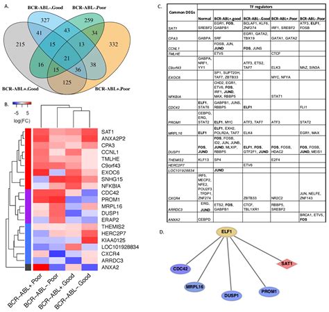 Integrating Single Cell Transcriptome And Network Analysis To