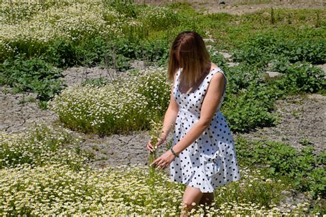 물방울 무늬가 있는 흰 드레스에 여자는 데이지와 함께 글레이드에 있습니다 개화 데이지 결혼식에 대한 스톡 사진 및 기타 이미지 결혼식 계절 귀여운 Istock