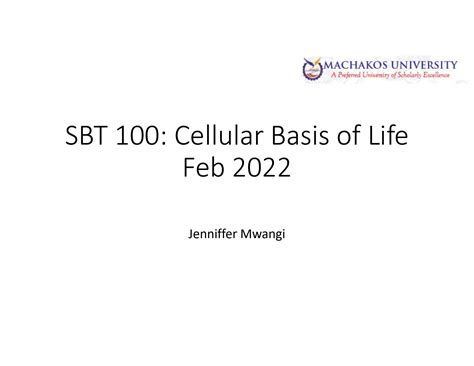 Solution Sbt Revision Notes Studypool