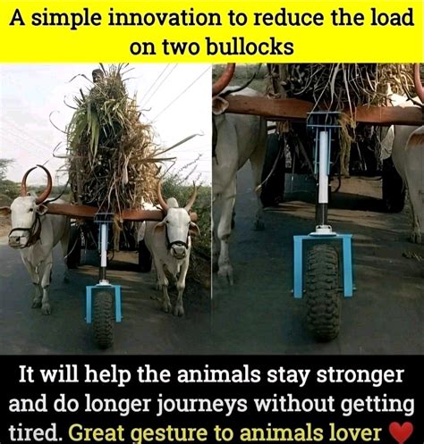 Manmohan Chauhaan On Linkedin Problem Solving Innovations To Its Best