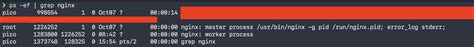 confusion about running user r nginx