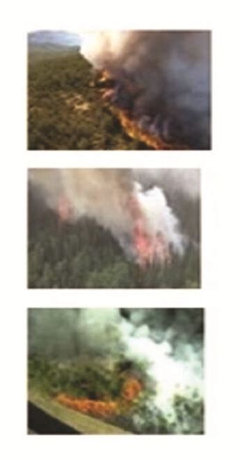 Forest Fire Detection Using A Rule‐based Image Processing Algorithm And Temporal Variation