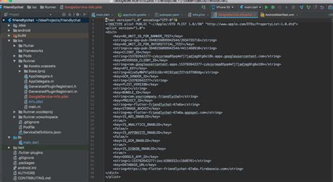 remove comment from info plist in flutter firebase codelab · issue