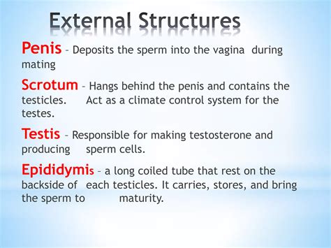 Reproductive Systempptx