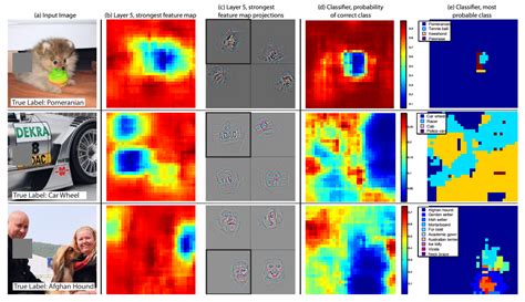 visualizing and understanding convolutional networks paper survey