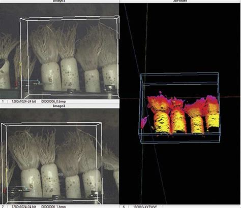 ai based processing moves produce from harvest to market vision in