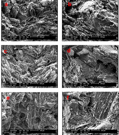 Sem Micrographs Of The Fracture Surfaces In The Composites Under