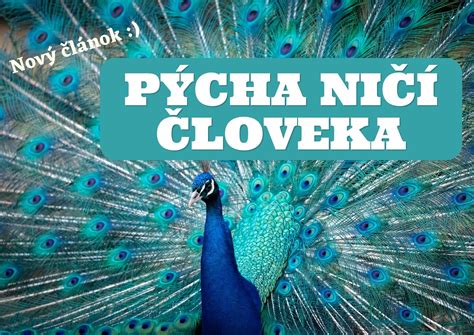 Pýcha Ničí Človeka Luviva