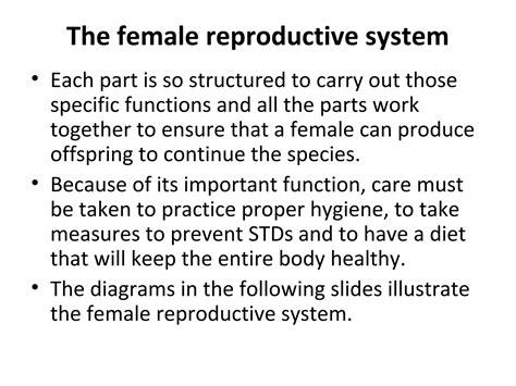 Sexual Reproduction In Mammals Ppt Pregnancy Reproductive Health