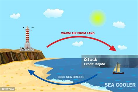 바다와 육지 바람에 대한 과학 포스터 디자인 육상 풍력 계획 열 온열 및 냉기 순환 다이어그램을 사용한 공기 이동 바다에 대한