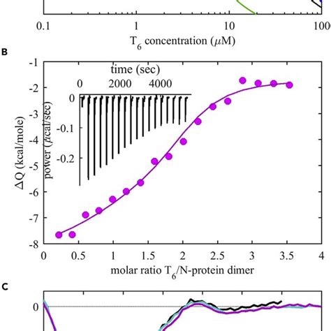 Temperature Dependent Particle Size And Llps A Average Stokes Radius