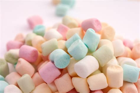 Reebop Breeding Modeling Inheritance And Phenotype Digitally Digital