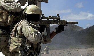 Mk12 Special Purpose Rifle — Wikipédia