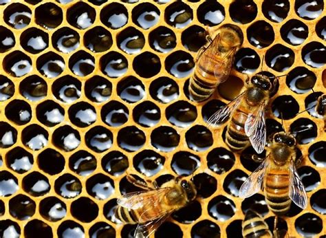 Challenges With Implementing Microservice Architecture