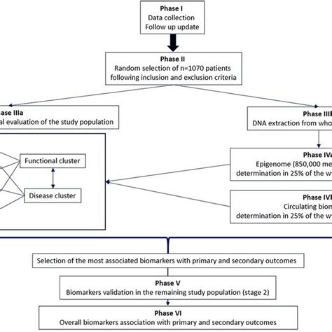 Flowchart Of The Experimental Design Download Scientific Diagram
