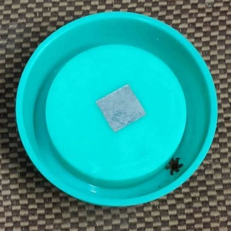 Plastic Paper Weight Round At ₹ 12piece In New Delhi Id 2853338704773