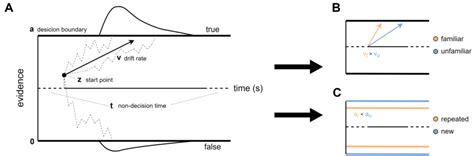 Schematic Of The Relationship Between Drift Diffusion Model Ddm And