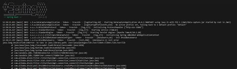 Springboot 集成 Tdengine 数据库容器部署java应用启动时报数据源初始化错误避坑springboot项目启动 Tdengine报错 Csdn博客