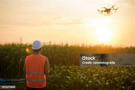 무인 항공기를 제어하는 남성 엔지니어는 농지에 비료와 농약을 살포 첨단 기술 혁신과 스마트 농업 드론 파일럿에 대한 스톡 사진 및 기타 이미지 Istock