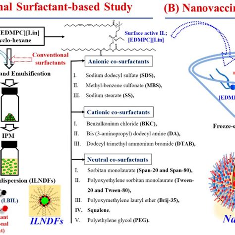 Schematically Represented Synthesis Pathways Of A Ilndfs And B