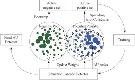 Figure 1 from Ieee Transactions on Affective Computing Dynamic Cascades with Bidirectional ...