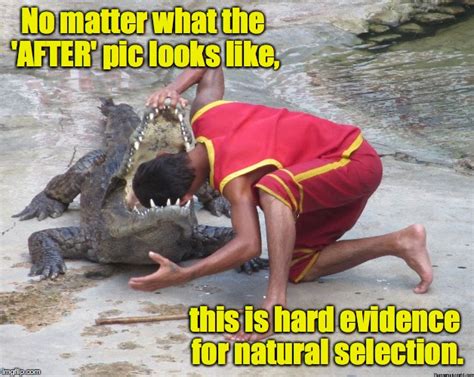 Natural Selection Memes And S Imgflip
