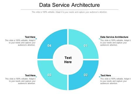 Data Service Architecture Ppt Powerpoint Presentation Styles Graphic Tips Cpb Presentation